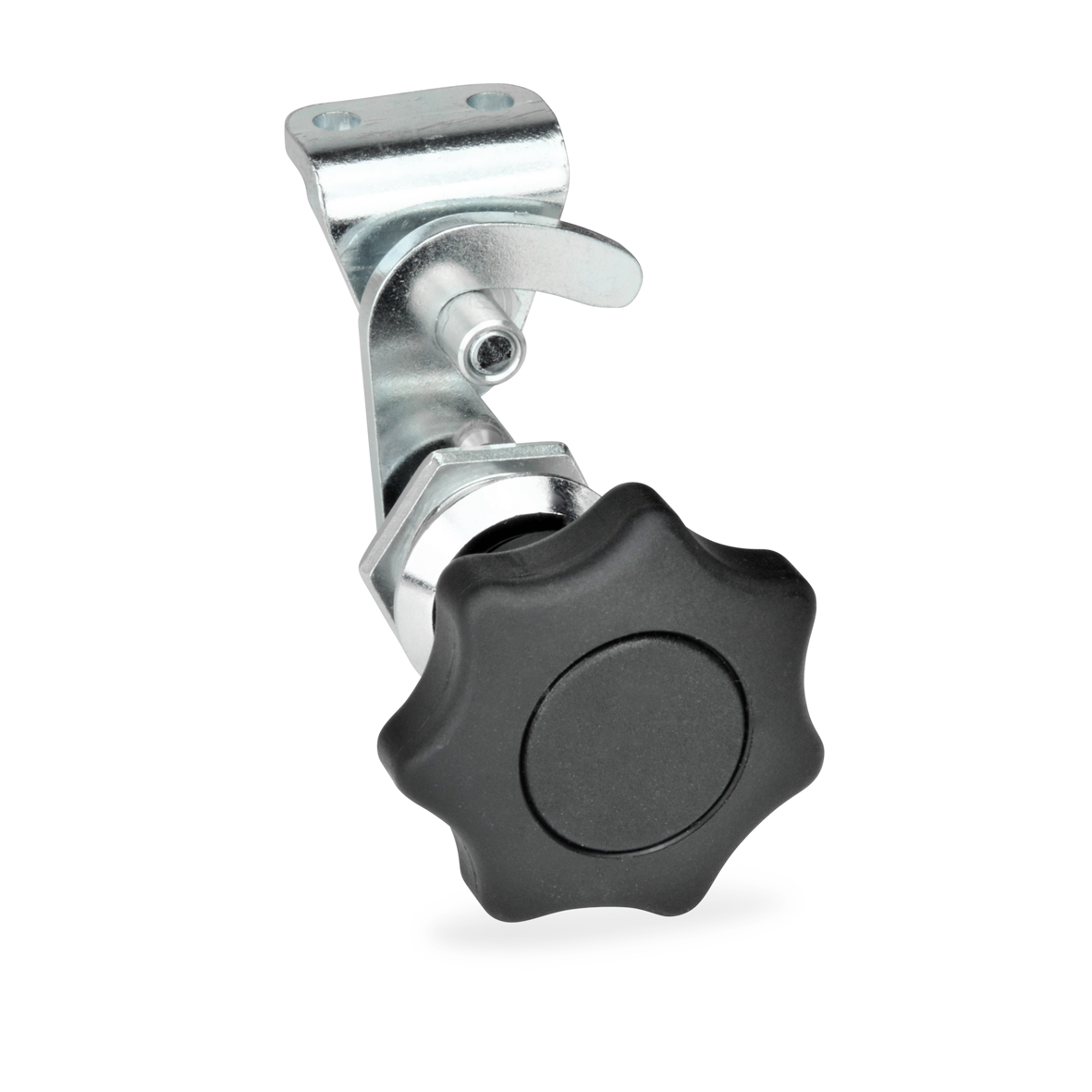 GN 115.8-WOE-NL-ZD-SK Kavljasti zapahi s prečnikom